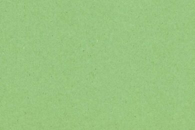 Realistic Pista Green Paper Texture Mural Wallpaper - Magicdecor®