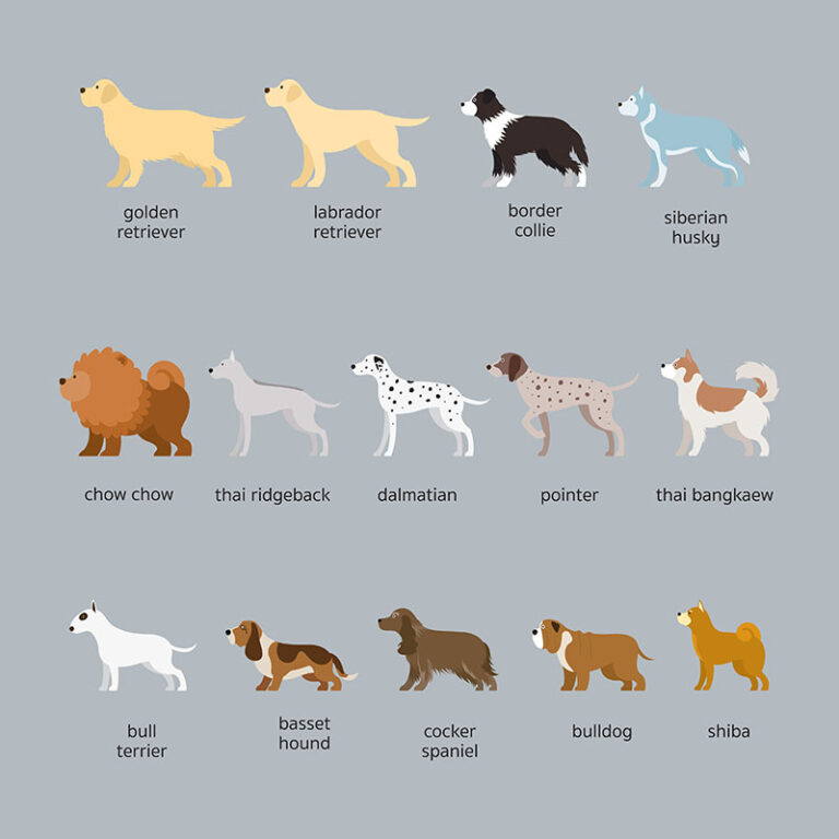 Fur-Ever Breeds Wallpaper Mural - Magicdecor®