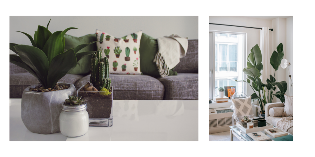 12 Beautiful Home Decor Ideas You Must Try - Magicdecor®